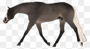Ks Diesel By Doubleclutchin - Stallion - Free Transparent PNG Clipart ...