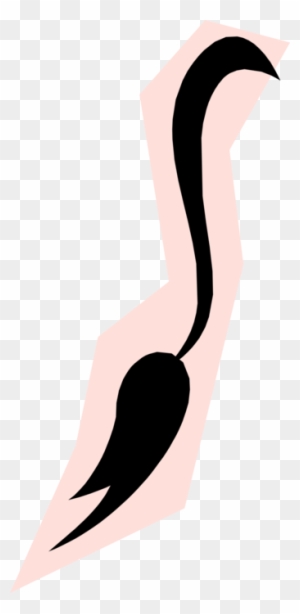 Vector Illustration Of Donkey Tail Symbol - Cola De Burro Png - Free ...