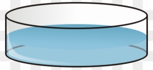 Petri Dish Cell Culture - Free Transparent PNG Clipart Images Download