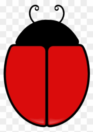 Blank Ladybug Template