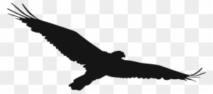 Flying Hawk Outline