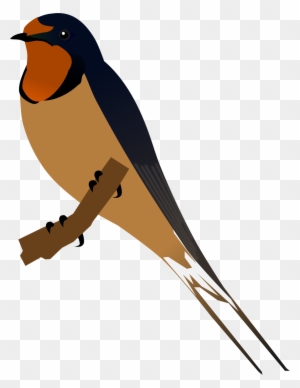 Swallows Nest - Barn Swallow - Free Transparent PNG Clipart Images Download