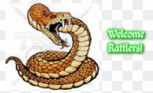 Cristina Rangel - Pit Viper Snake Drawing - Free Transparent PNG ...
