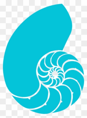 Teal Seashell Clipart
