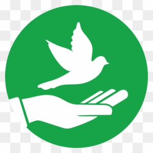 Life With Hope Foundation Is Based In Pakistan, Supporting - Icon ...