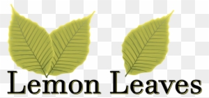 Image - Beech - Free Transparent PNG Clipart Images Download