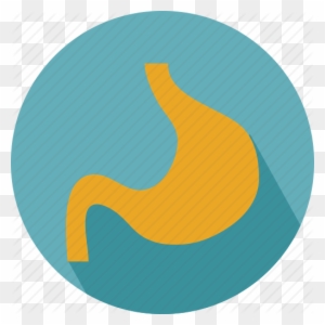 Norovirus - Stomach Icon Png - Free Transparent PNG Clipart Images Download