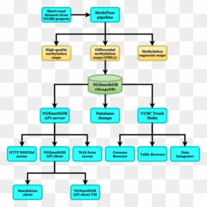 Data Flow Diagram For Ngsmethdb Indicating The Source - Data Flow ...