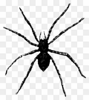 Spider Cut Out - Big Spider Cut Out - Free Transparent PNG Clipart ...