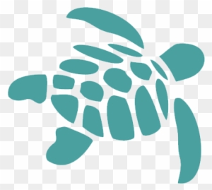 Green $5,000 - Green Sea Turtle Icon - Free Transparent PNG Clipart ...