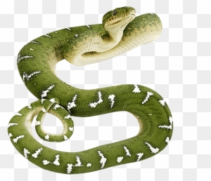 Green Snake Clipart, Transparent PNG Clipart Images Free Download ...