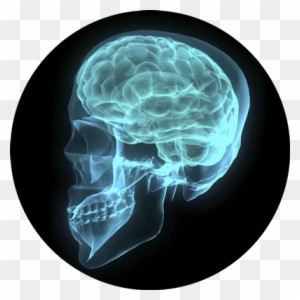 Drug Addicted Brain - Back From Brain Aneurysm - Free Transparent PNG ...