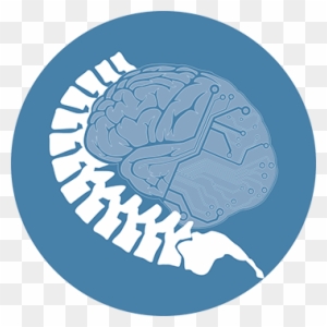 Brain & Spinal Cord Tumors - Neuron - Free Transparent PNG Clipart ...