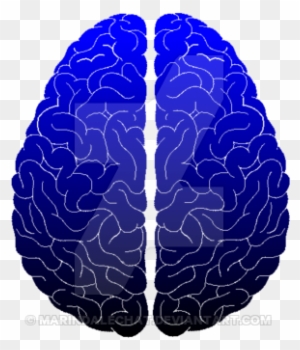 Brain Icon Blue By Marindalechat - Design - Free Transparent PNG ...