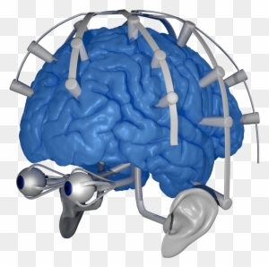 Emotiv Eeg Brain Computer Interface To Collect Neuronal - Illustration ...