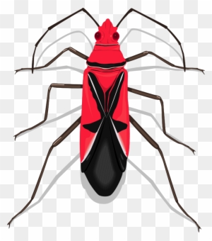 Insect 27 Free Vector - Red Insect - Free Transparent PNG Clipart ...