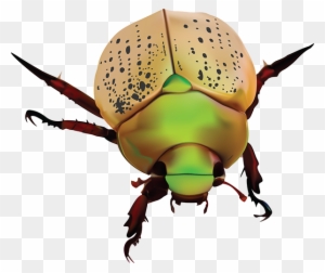 Dung Clip Art, Transparent PNG Clipart Images Free Download - ClipartMax