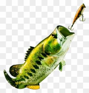 Bass Jumping Transparent - Free Transparent PNG Clipart Images Download