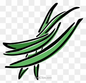 Green Beans Royalty Free Vector Clip Art Illustration - Green Beans ...