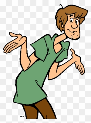 Shaggy Scooby Doo High
