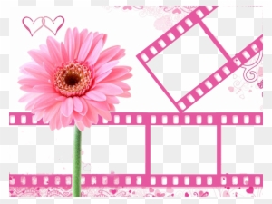 Pink Vintage Frames Png Pink Girly Frame By Thekarinaz - Girly Frame ...