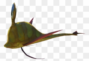 Ignore The Peepers Because They Are Fast, Get The Bladderfish(airsack ...