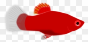 Red, Small, Cartoon, Little, Fish, Animal, Aquarium - Red Fish Clip Art ...