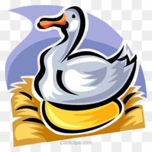 Cute Duck Cartoon Holding Golden Egg Royalty Free Cliparts - Goose That ...