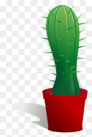 Gardening Cactus In A Pot Vector - Cactus In Pot Outline - Free ...