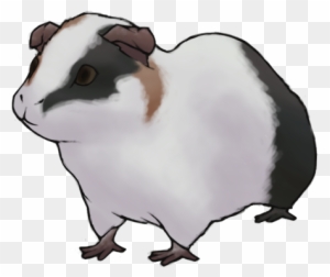 Guinea Pig Clipart, Transparent PNG Clipart Images Free Download ...
