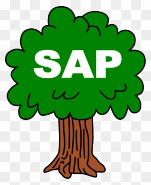 Tree Sap Clipart