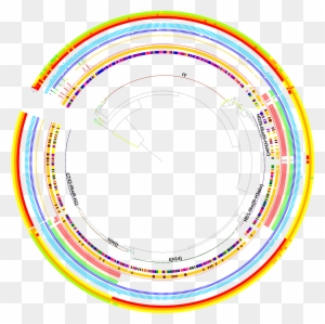 Colored Strips , Binary (red Squares), Followed By - Circle - Free ...