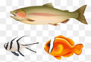 Clip Art - 3 Peces - Free Transparent PNG Clipart Images Download