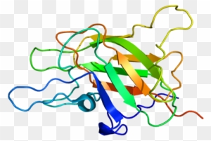 Available Structures - Coagulation Factor 8 Protein - Free Transparent ...
