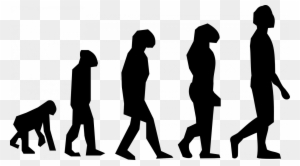 Cc0 Public Domain - Human Evolution Clipart - Free Transparent PNG ...