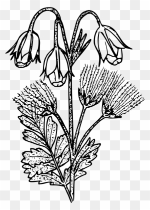 Smoke - Prairie Smoke Drawing - Free Transparent PNG Clipart Images ...