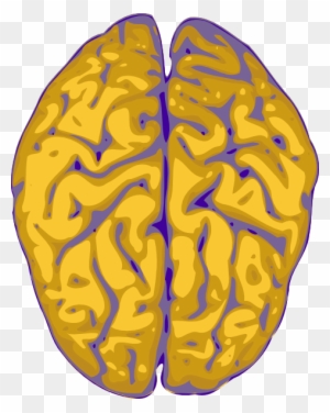 How To Set Use Nm Brain Svg Vector - Prosopagnosia Affects What Part Of ...