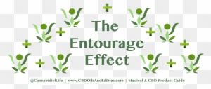 Entourage Effect - Free Transparent PNG Clipart Images Download