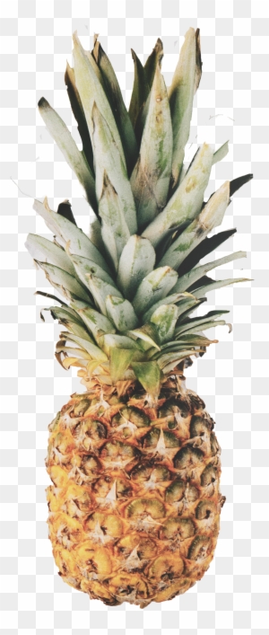 Ananas Render - Free Transparent PNG Clipart Images Download