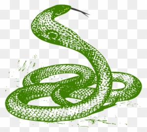 Viper Clipart Green Snake - Cobra Drawing - Free Transparent PNG ...