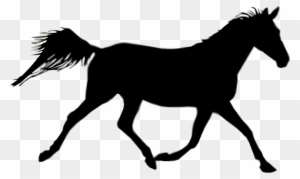 Three Shadow Horses - Horse Shadow Png - Free Transparent PNG Clipart ...