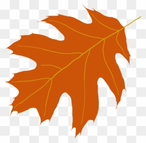 Oak Tree Leaf Clipart - Oak Leaves Clip Art - Free Transparent PNG ...