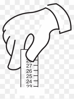 58294main The Brain In Space Page 153 Hand And Ruler - Draw A Hand ...