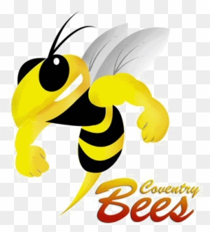 Fighting Bee Photo - Coventry Bees - Free Transparent PNG Clipart ...