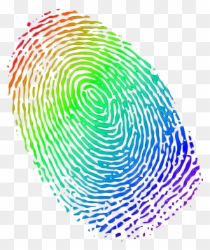 Fingerprint Colorful Png - Fingerprint Png - Free Transparent PNG ...