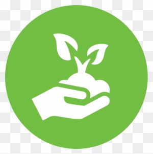 Our Landscape Design Process Will Carefully Explore - Think Before You ...