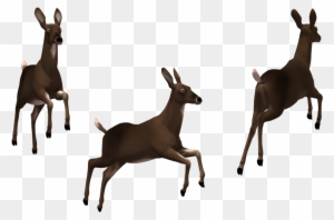 Doe Deer Clip Art, Transparent PNG Clipart Images Free Download ...
