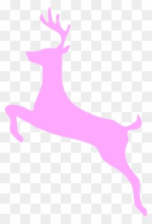 Deer, Transparent PNG Clipart Images Free Download , Page 3 - ClipartMax