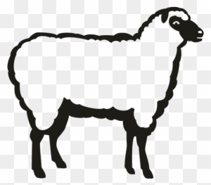 I'm The Pink Sheep Of The Fam Sticker (rectangular - Free Transparent ...