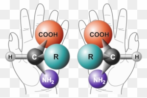 Chirality Is A Property Of Asymmetry Important To Many - Left And Right ...